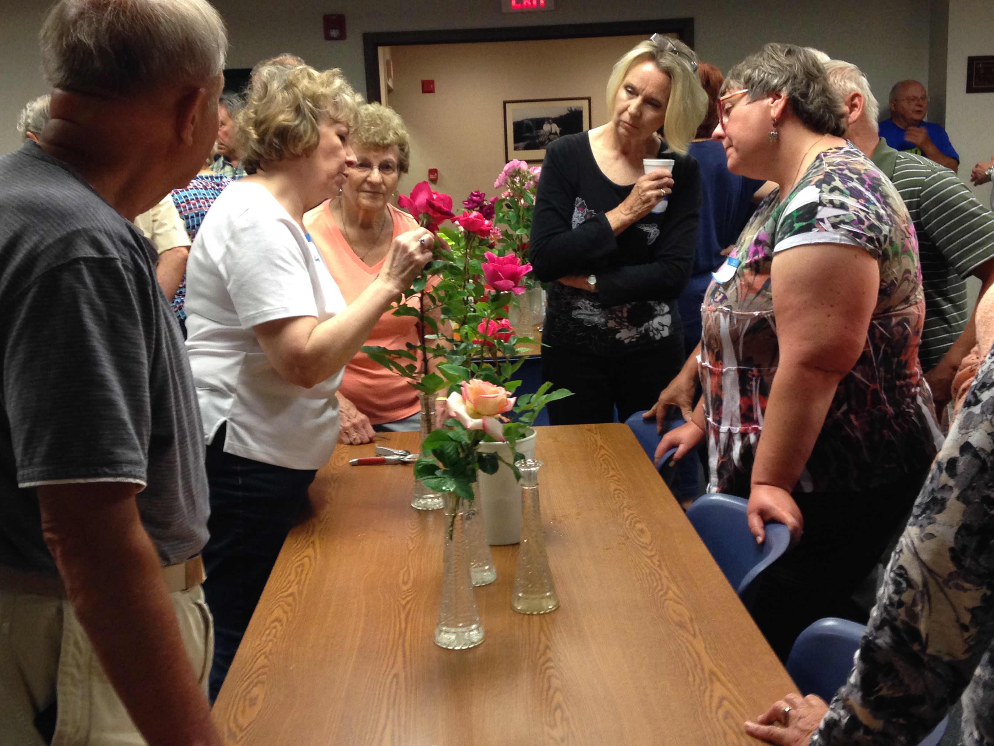 About – Greater Milwaukee Rose Society